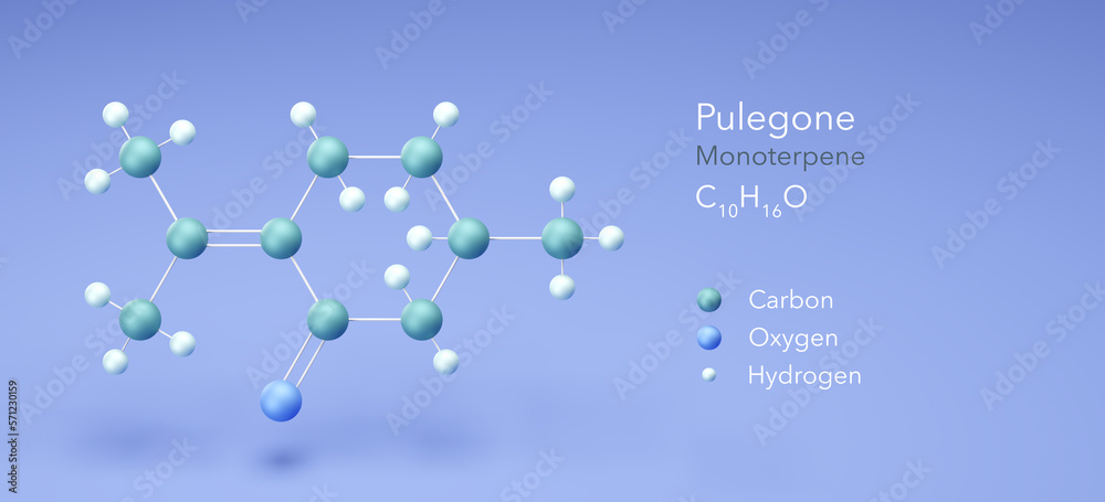 pulegone molecule, molecular structures, monoterpene, 3d model ...
