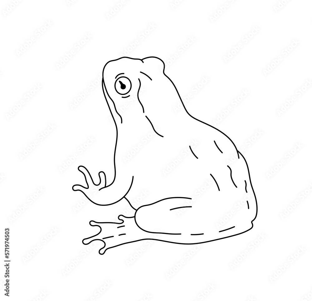 Vector isolated realistic frog sitting side view colorless black and ...