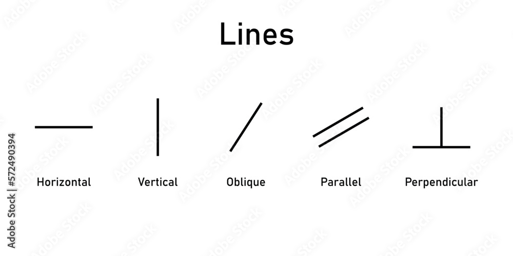 Types of lines in mathematics. Horizontal, vertical, oblique, parallel ...