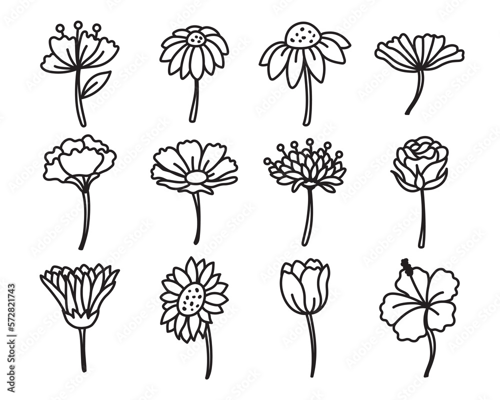 Flower side view hand drawn doodles drawing vector illustration ...