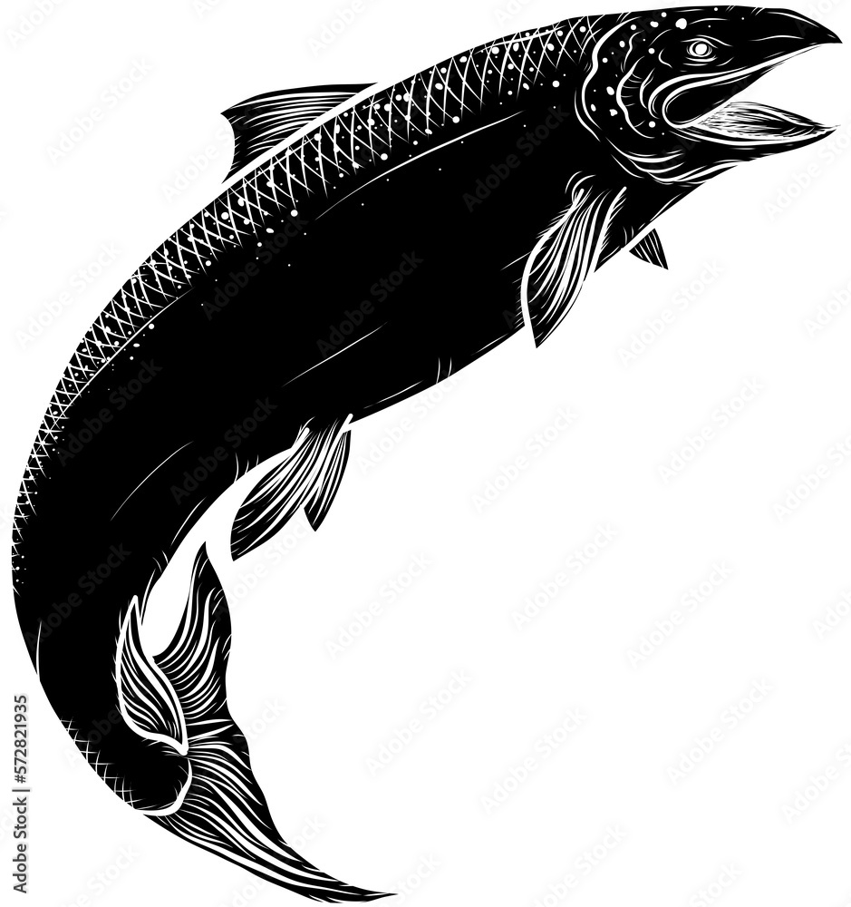 Salmon art highly detailed in line art style.Fish png by hand drawing ...