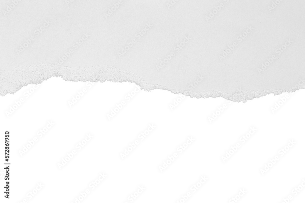 Torn white paper with shadow. Isolated Stock Photo | Adobe Stock