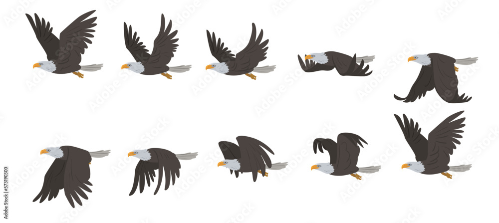 Flying eagle. Sprites for 2d animation Stock Vector | Adobe Stock
