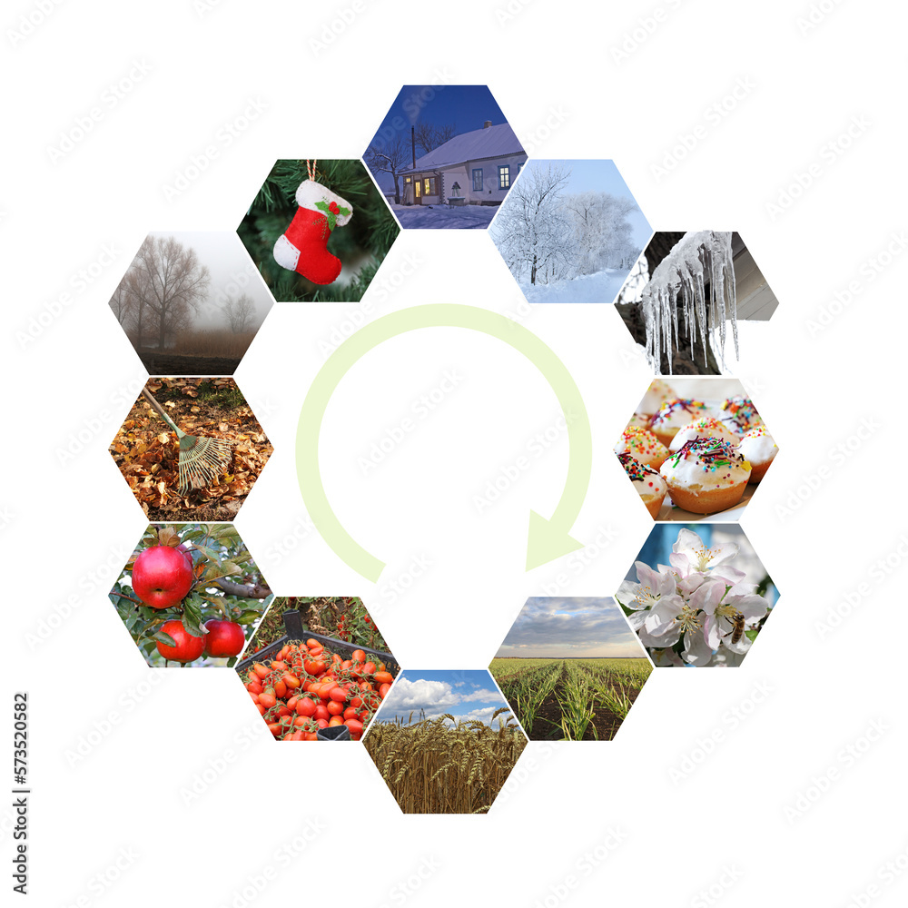 Visualization of the twelve months of the year. Actual picture for each ...