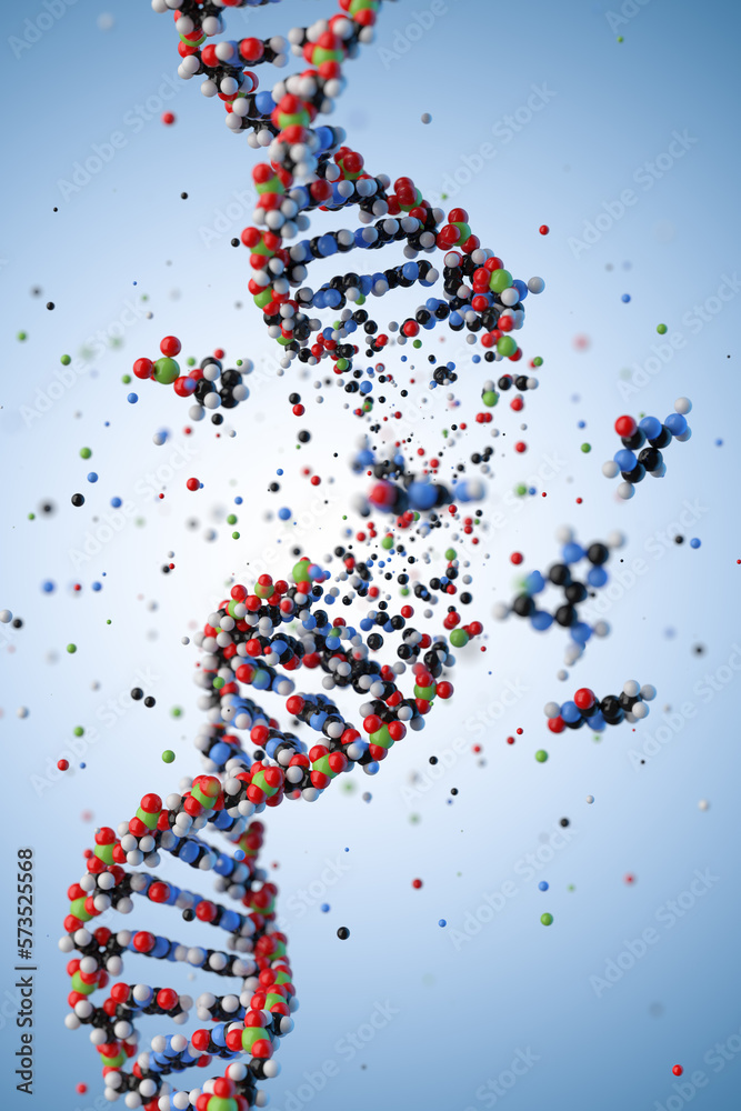 Molecular structure of DNA. 3D rendering. Stock Illustration | Adobe Stock