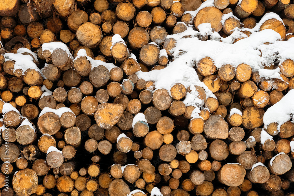Many rows of wood pine timber circle logs are stacked to pile. Winter ...