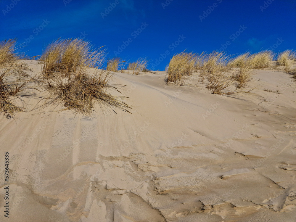 sandy dunes overgrown by clumps of grass and blue sky with white ...