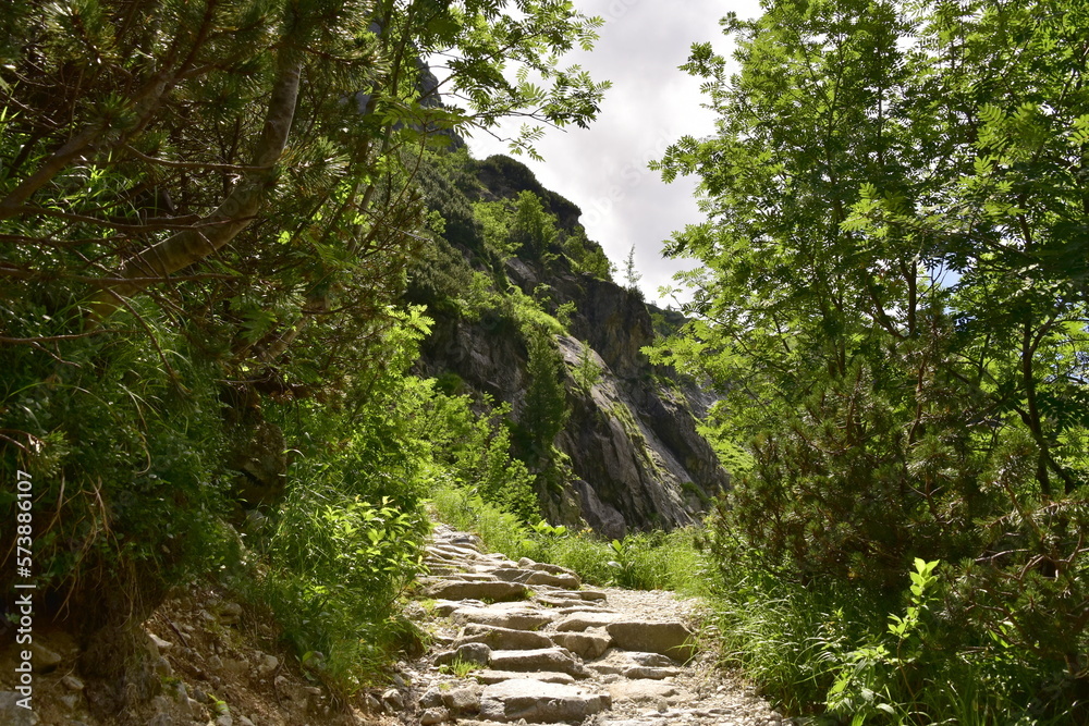 Tatry, góry, Dolina Roztoki, szlak turystyczny, TPN, las, Stock Photo ...