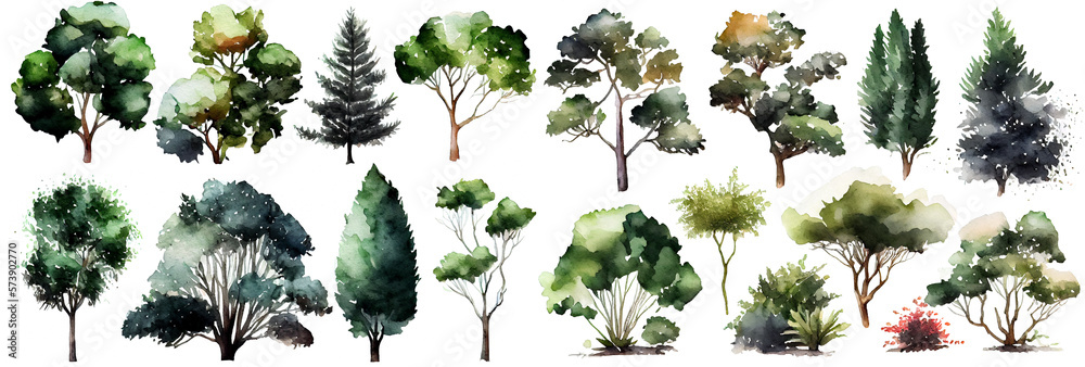 Watercolor trees collection. Set of hand drawn trees. Forest tree pack ...