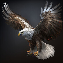 The Bald Eagle Flapped Its Wings Free Stock Photo - Public Domain Pictures