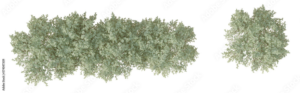 plan 2D view shrub composition Isolated on PNGs transparent background ...