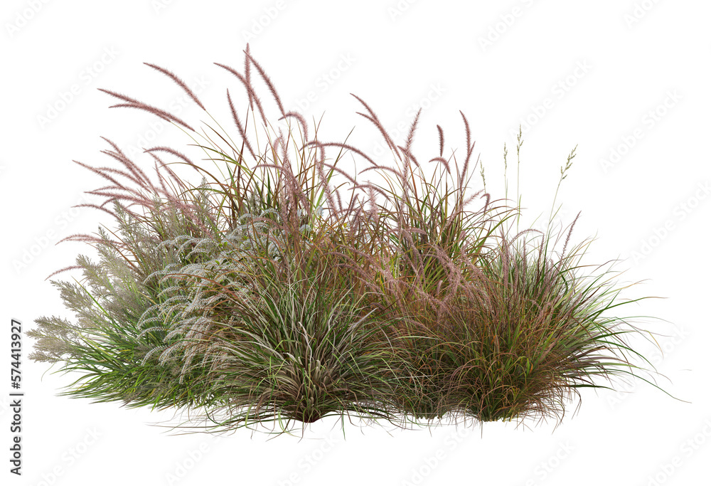 A small garden decorated with many plants on a transparent background ...