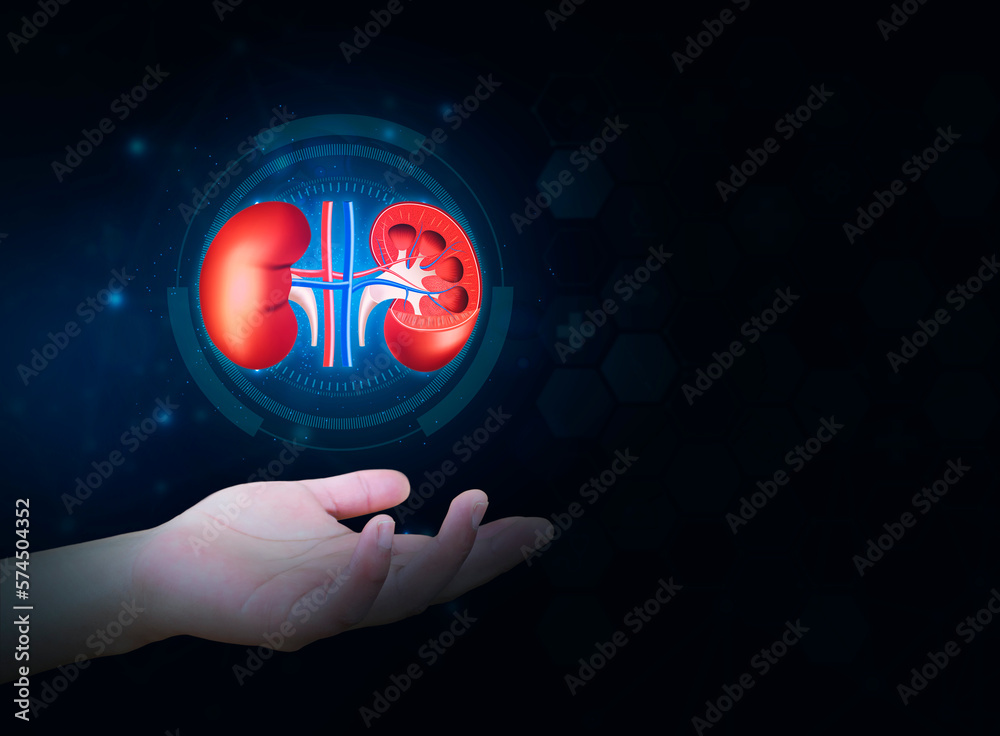 Nephrology, medical care for kidney problems. Kidneys isolated on light ...