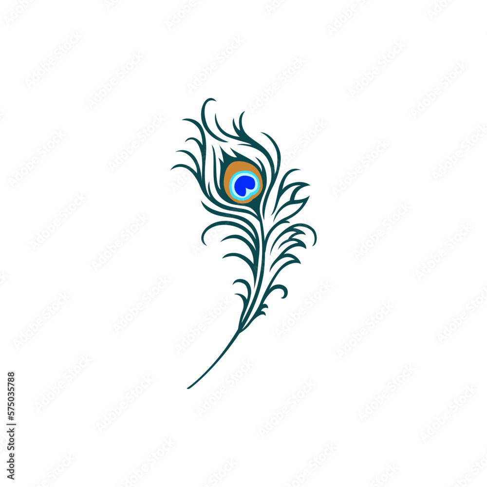 peacock feather vector illustration for an icon, symbol or logo ...