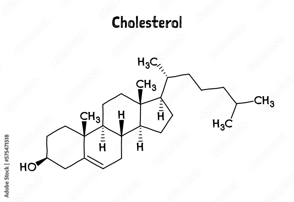 Cholesterol molecular structure. Cholesterol is a lipid and essential ...