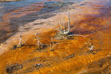 Yellowstone Stream Free Stock Photo - Public Domain Pictures