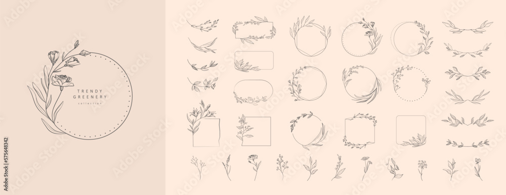 Set of floral design logo elements. Wreath borders dividers, frame ...