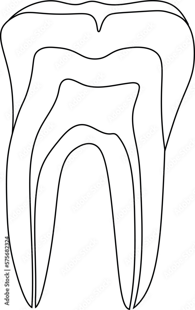 Coloring page with human tooth. Structure of tooth (molar) in cross ...