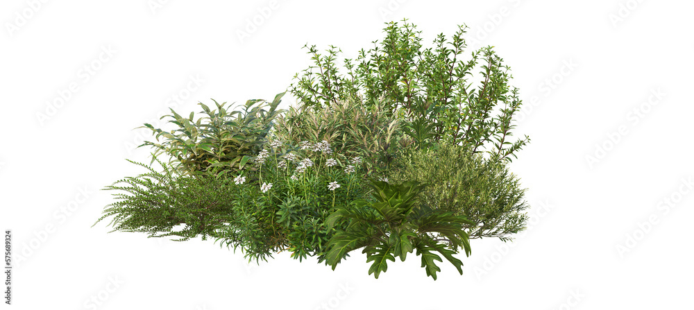 Illustration Stock A small garden with flowers and shrubs. On a ...