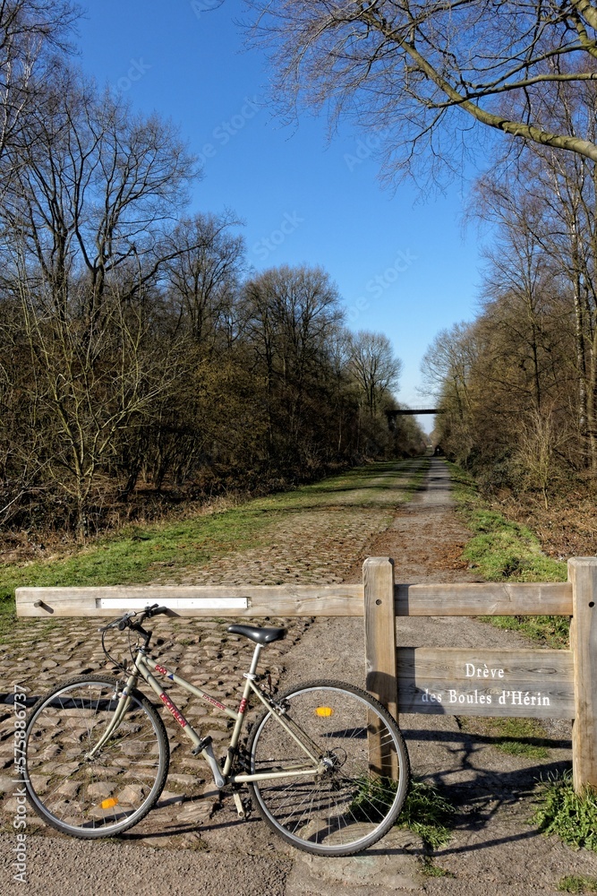 Trouée d'Arenberg ..Cycliste Stock Photo | Adobe Stock