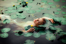Mermaid With Lily Free Stock Photo - Public Domain Pictures