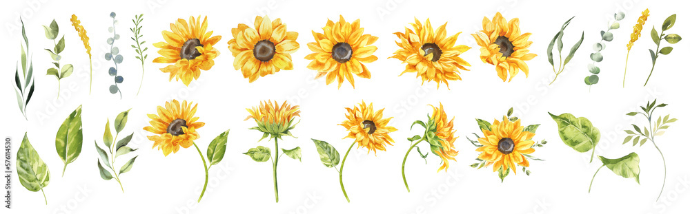 Watercolor sunflowers illustration set. Yellow summer flowers, Floral ...