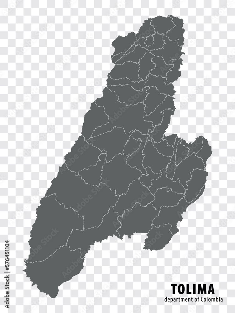 Blank map Tolima Department of Colombia. High quality map Tolima with ...