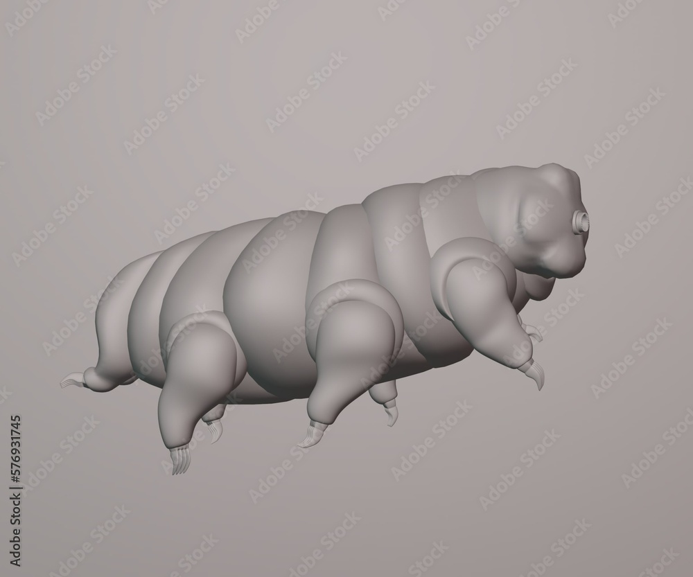 Tardigrade known as water bear or moss piglet is a phylum of eight ...
