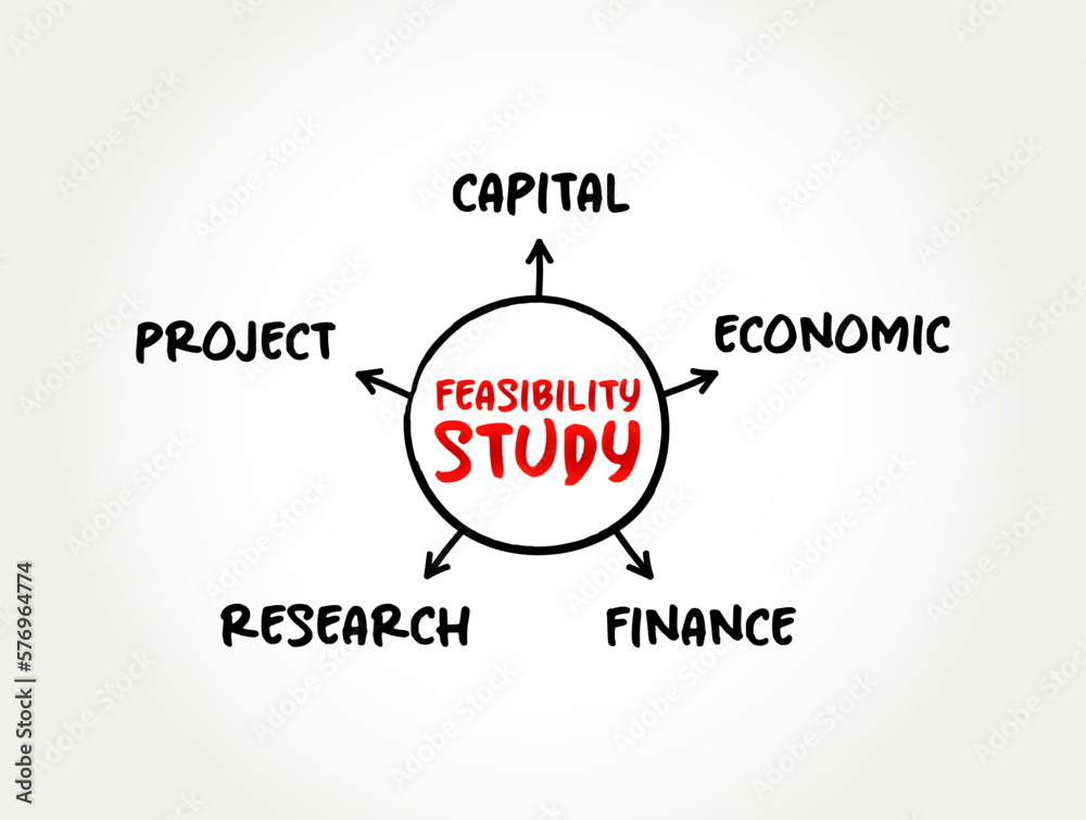 Feasibility study - assessment of the practicality of a proposed ...