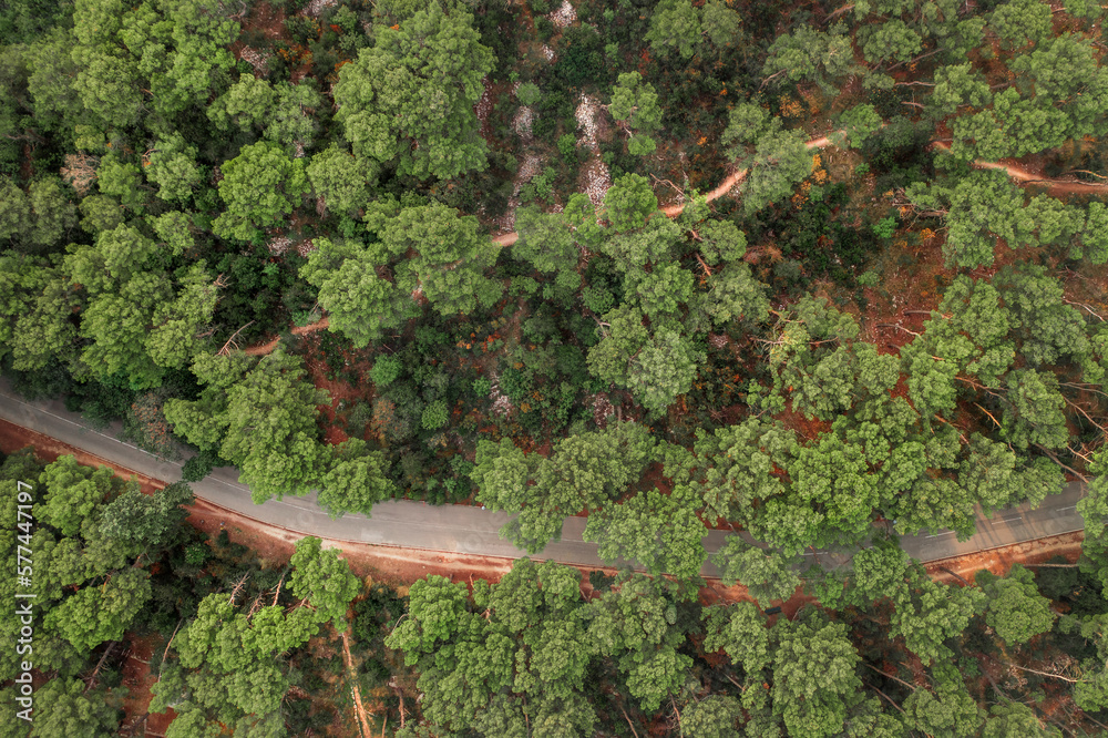 This aerial photograph of Marjan Hill in Split, Croatia captures the ...