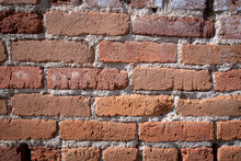 CANNED Brick Wall Free Stock Photo - Public Domain Pictures