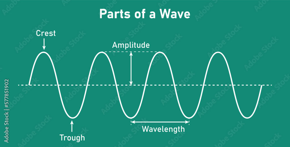 Parts of a transverse wave in physics. The basic properties of waves ...