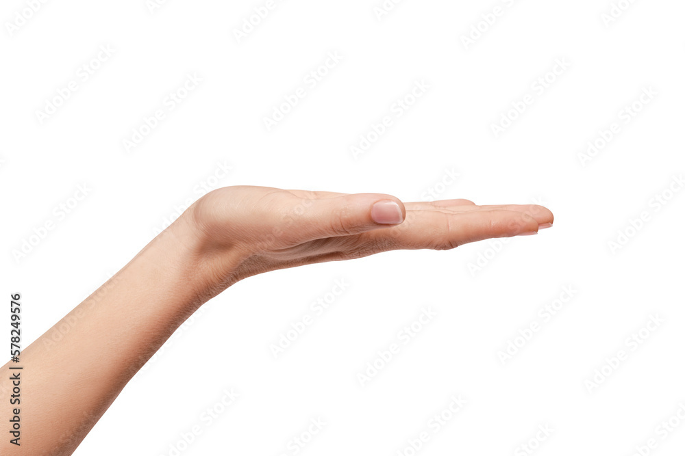 woman's hand holding something Stock Photo | Adobe Stock