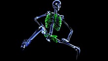 Grandma Skeleton Free Stock Photo - Public Domain Pictures