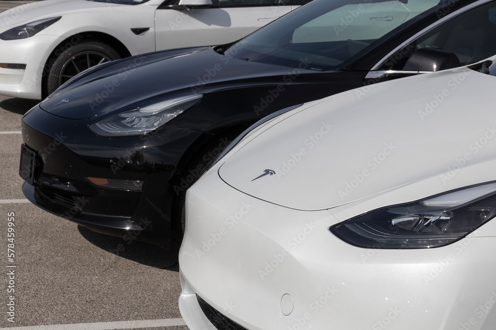 Tesla EV electric vehicles on display. Tesla products include electric ...