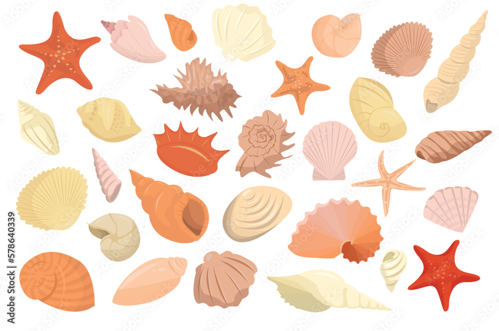 Shells set icons concept without people scene in the flat cartoon style ...