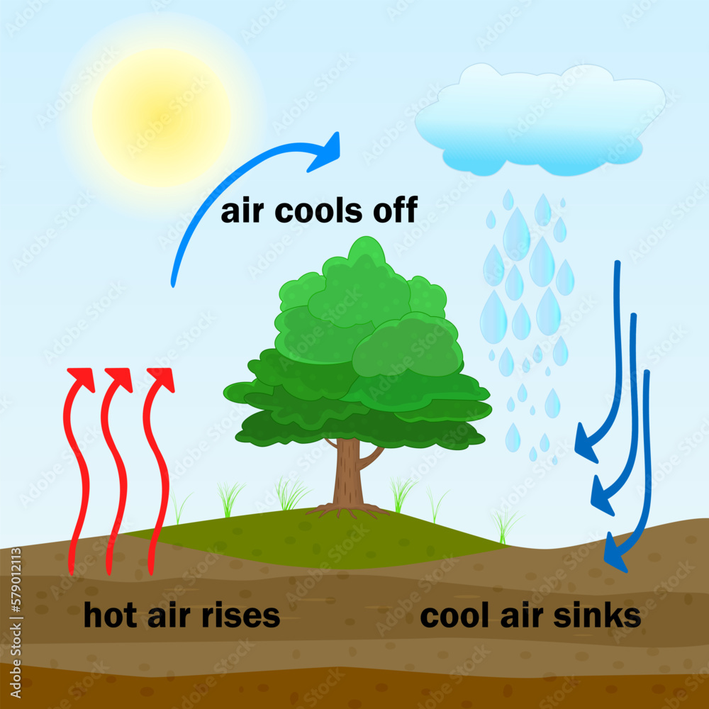 Convection process diagram. Warm air rises and cool air sinks. Hot and ...