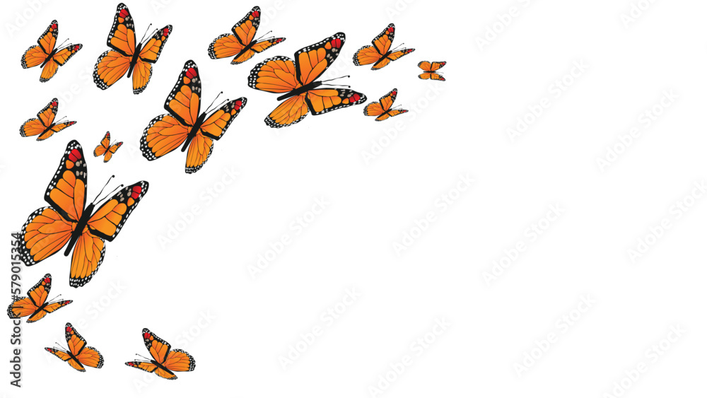 Beautiful monarch butterfly wallpaper on white transparent background, Vector illustration Stock ...