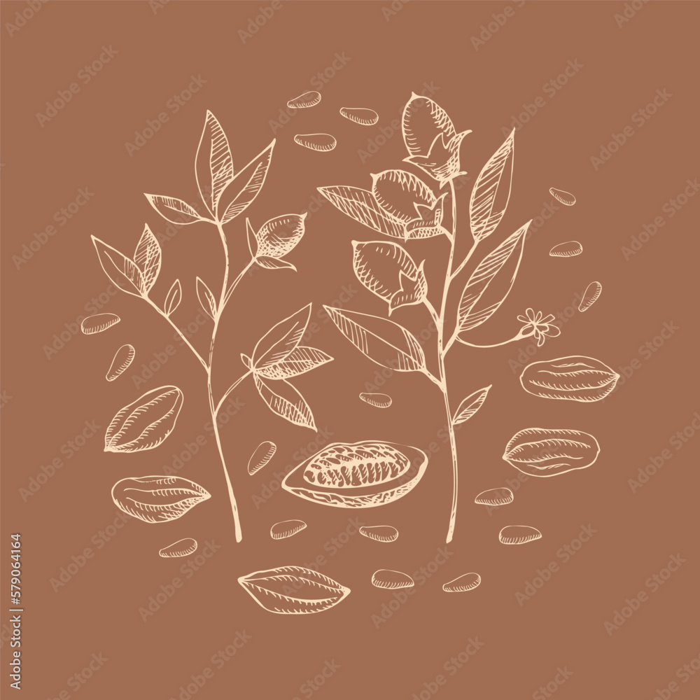 Cocoa set. Hand drawn cocoa bean vector, sketch of leaves and cocoa ...