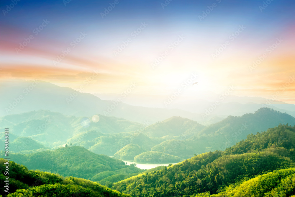 forest on the mountain light fall on clearing on mountains at sunset ...