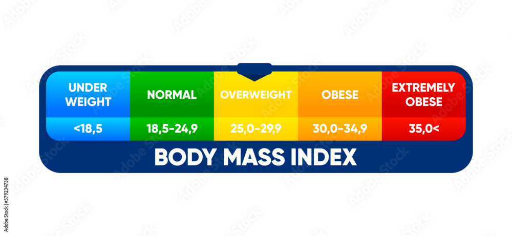 Body mass index. Weight loss concept. BMI scale. Before and after diet ...