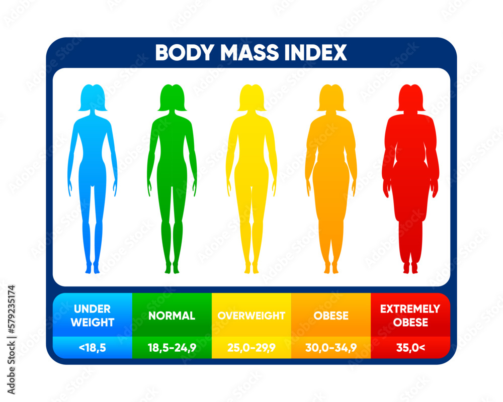 Body mass index. Weight loss concept. BMI scale. The process of obesity ...