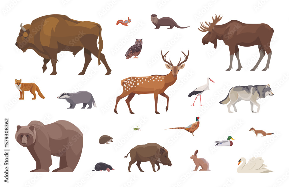 Flat set of european animals. Isolated animals on white background ...