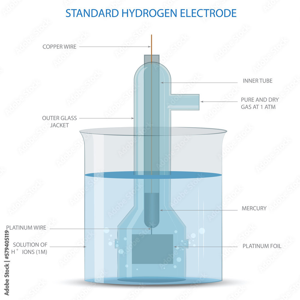 A Standard Hydrogen Electrode is a reference electrode used in ...