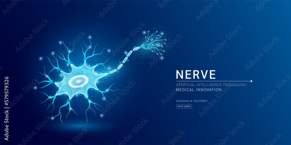 Website template. Human nerve translucent low poly triangles ...