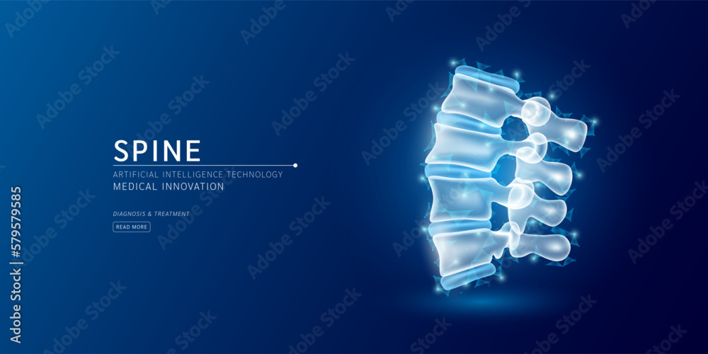 Website template. Human spine bone anatomy translucent low poly ...