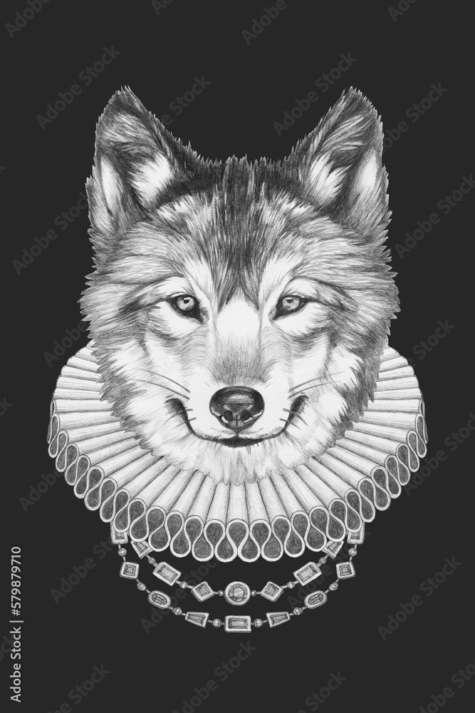 Portrat of Wolf with Elizabethan Collar. Hand-drawn illustration Stock ...