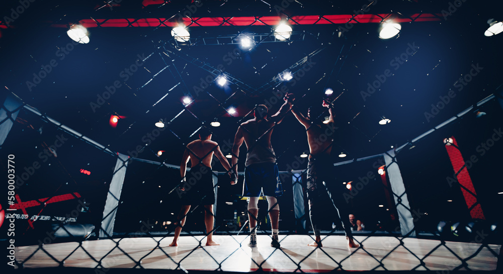 Sport MMA banner, referee raises hand to fighter winner of fights ...