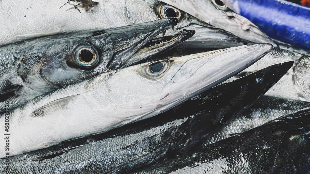 Stock-Foto „Close-up Fresh king mackerel fish with shell at local ...