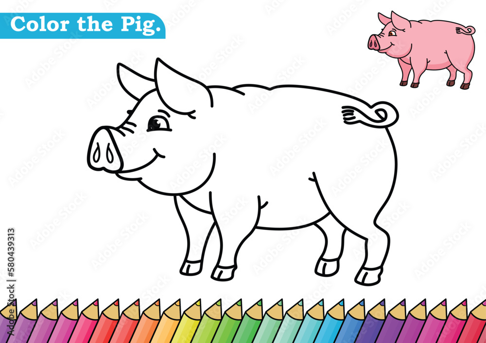 Pig coloring page. isolated coloring book. color pages for kids. Pig ...